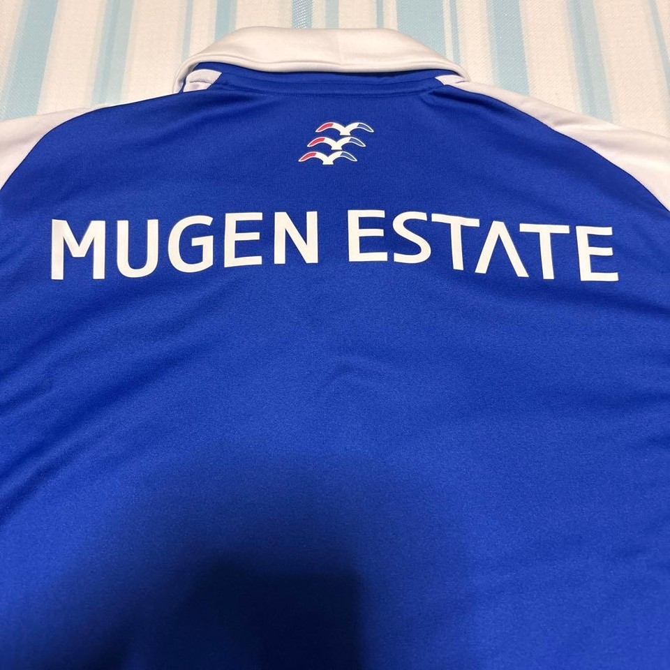 Adidas Marinos Cup Match Jersey L - Near Unused Unique Gundam Color ...