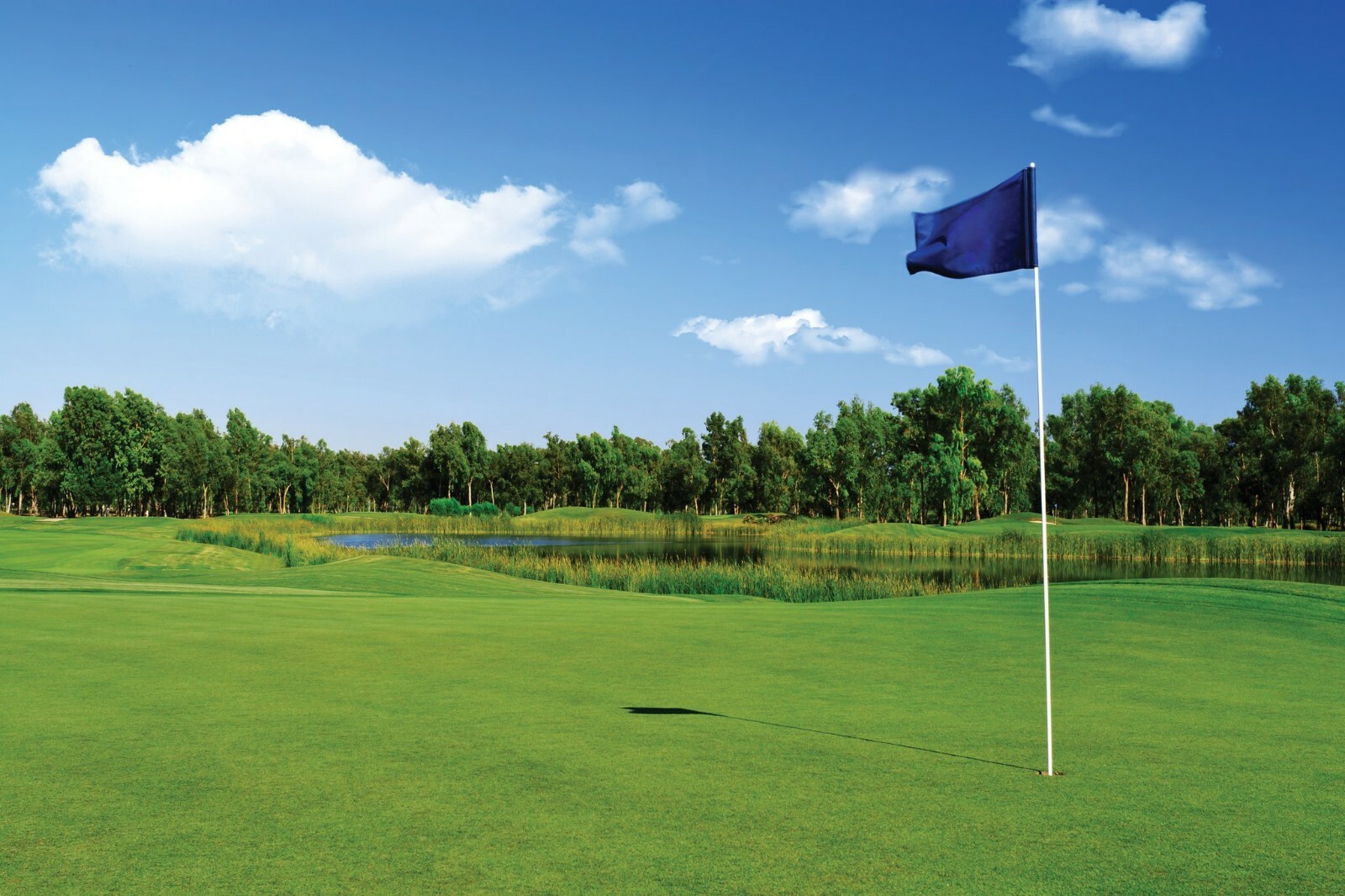 126,000 Wyndham Points at Fairfield Glade Tennessee Timeshare | eBay