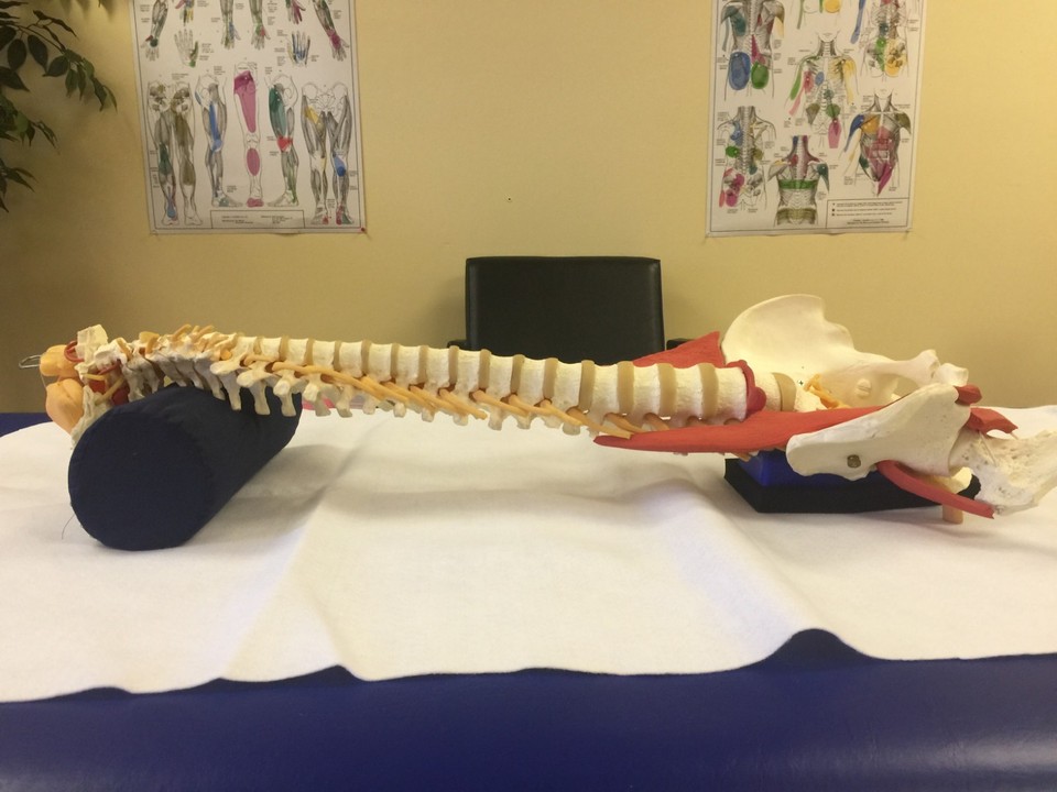 Sacro Wedgy Neck support/ cervical pillow | eBay