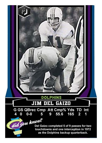 ACEO JIM DEL GAIZO MIAMI DOLPHINS CUSTOM HAND MADE ART CARD | eBay