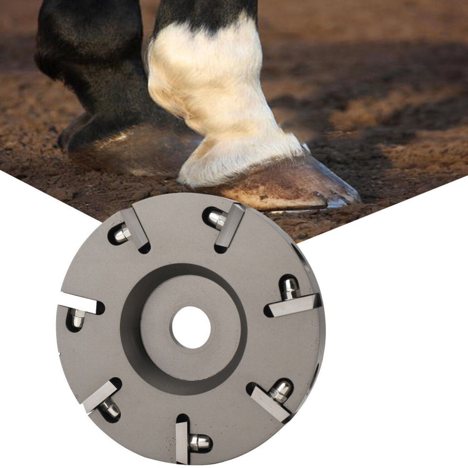 Livestock Hoof Trimming Disc Electric Professional Hoof Trimming Disc ...