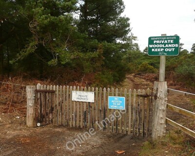 Photo 6x4 Track on Rempstone Heath Bushey/SY9883 Much of the area is ...
