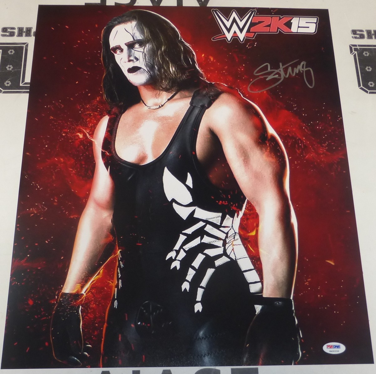 Wwe 2k15 Ps4 Sting
