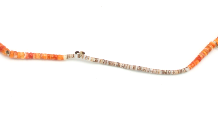 Southwest Orange Spiny Oyster Shell & Turquoise Beaded Necklace 17" SW ...