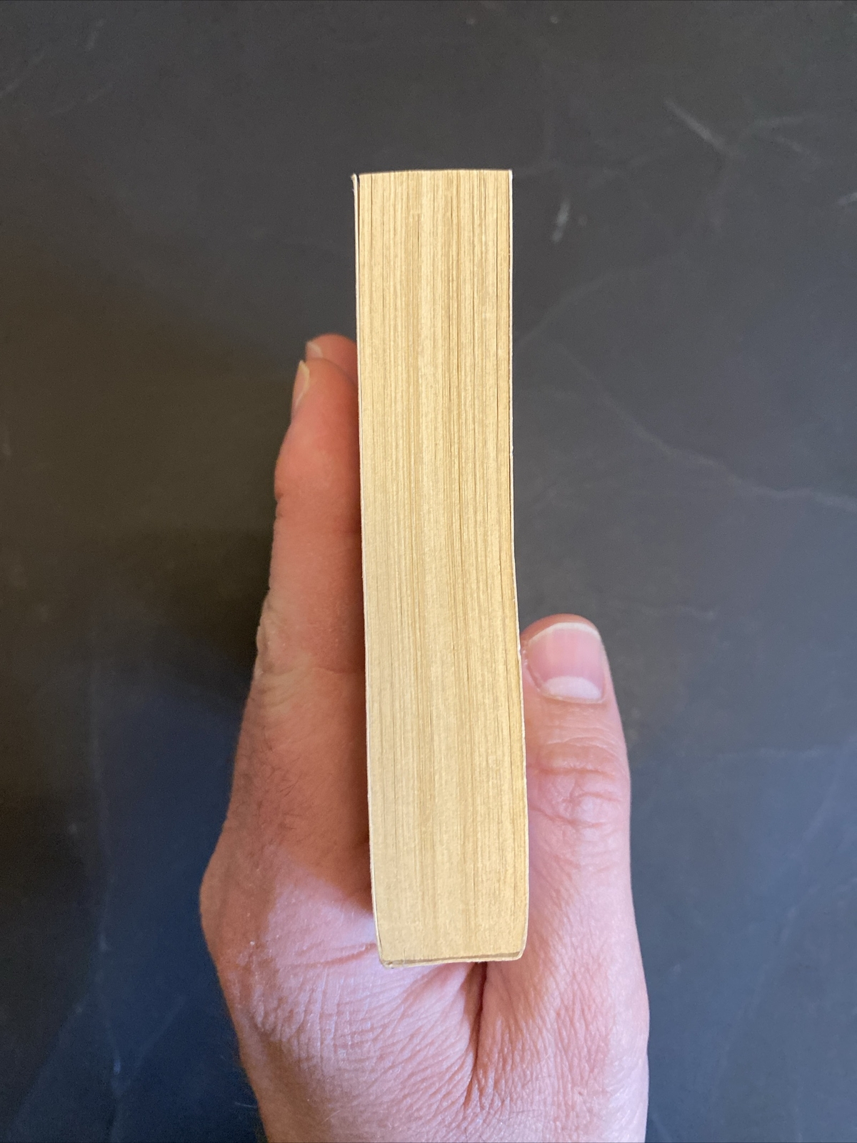 Doctor Who “The New Adventures” Sanctuary by David A. McIntee ...