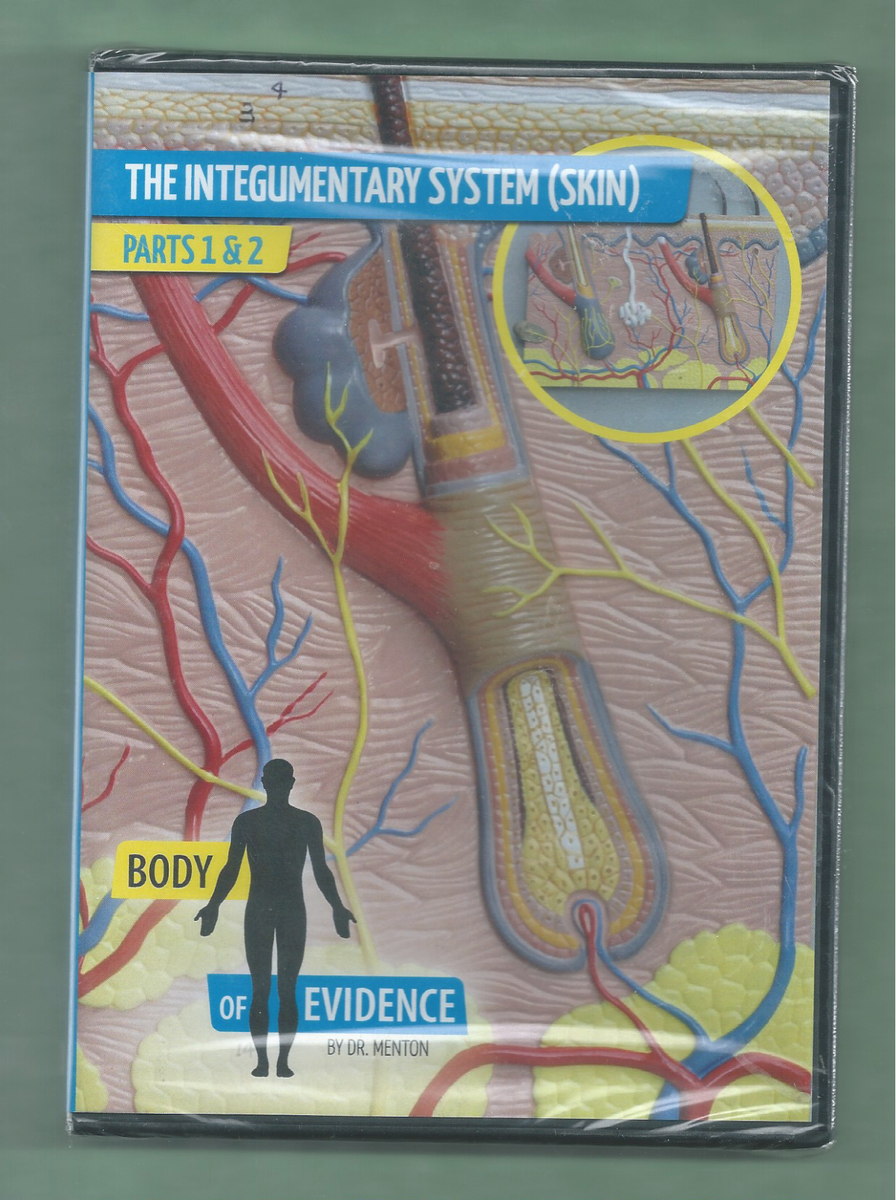 Integumentary System Body Parts INTEGUMENTARY SYSTEM