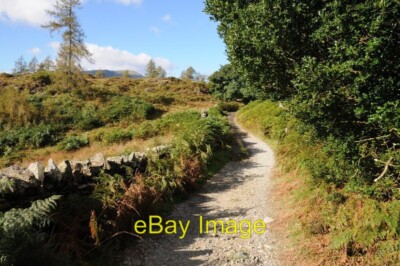 Photo 6x4 Upland track at Tarn Hows Knipe Fold Upland track and right ...