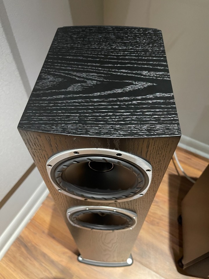 Fyne Audio F501 Floorstanding Speakers Pair | eBay