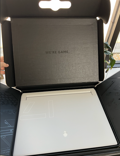 Alienware x17 R1 17.3" (1TB SSD, Intel Core i7 11th Gen., 2.30 GHz, 16 ...