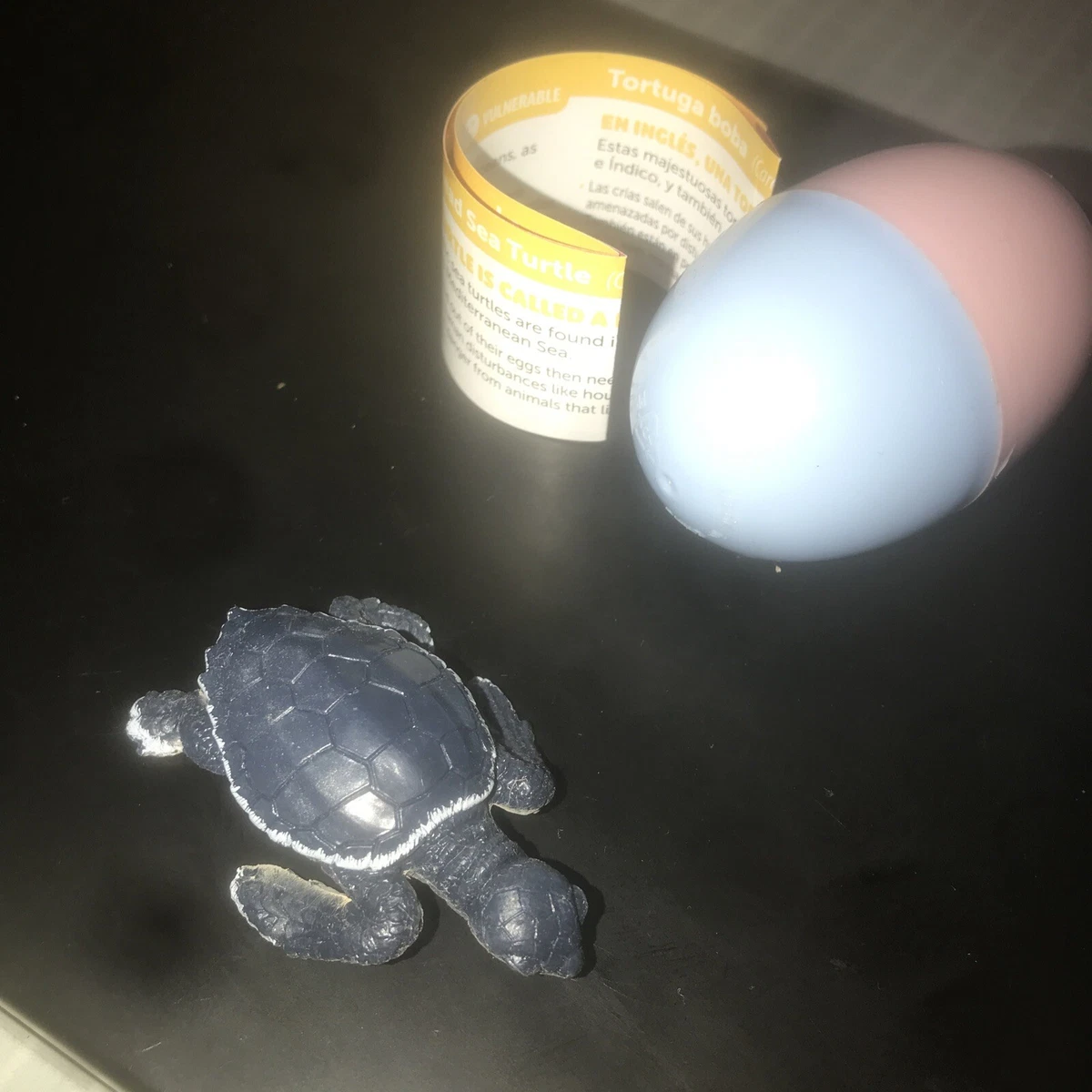 Yowies Turtle