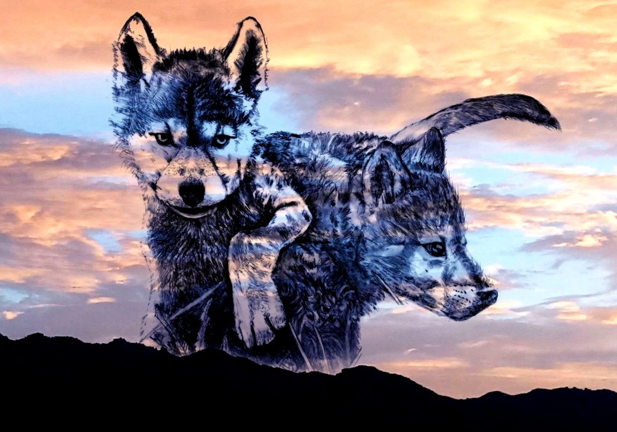 Native American Wolf Spirit Symbol