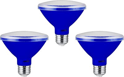 Sunlite LED PAR30 Short Neck Colored Recessed Light Bulb 8W Blue, 3 ...