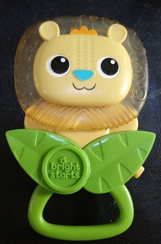 Bright Starts Kids II Lion Light Up Rattle | eBay