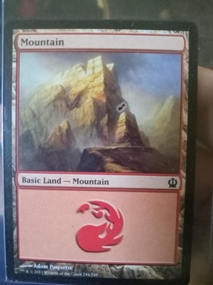 2013 MTG INK Miss Printed Land | eBay