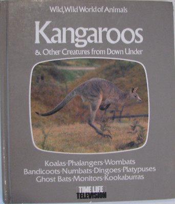 Wild, Wild World of Animals: Kangaroos & Other Creatures From Down Under by Dona 9780913948170| eBay