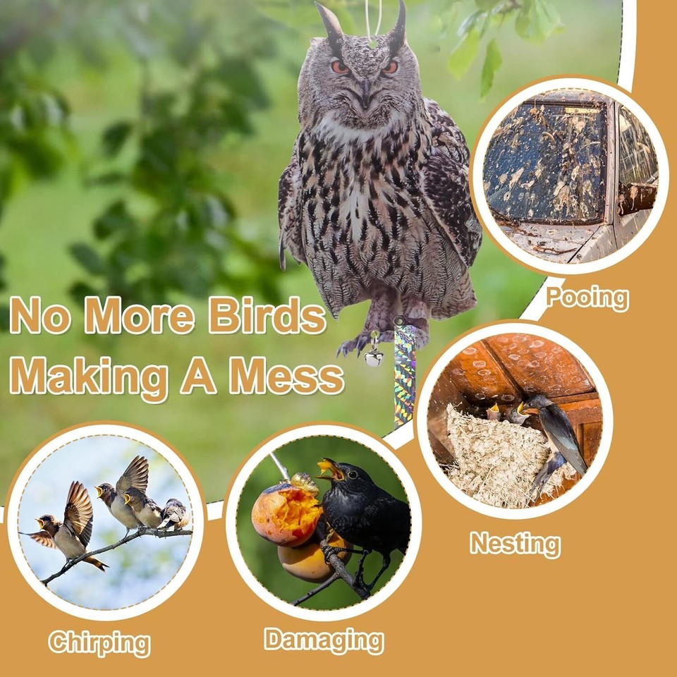 Pigeon Deterrent, Bird Scarers for Gardens, Plastic Pictures Pigeon ...