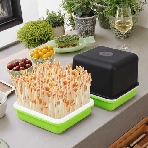 1Pc Plastic Hydroponic Sprout Planting Box Peanut Bean Sprout Pot ...