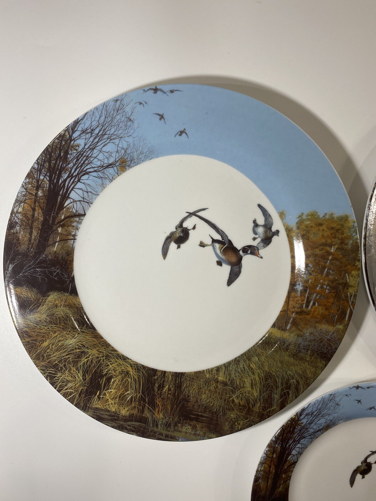 Rare Ducks Unlimited Dinner Set of 5, Dishes, Dish Set, Collection ...