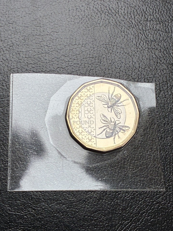 2017 - 2026 £1 One Pound Coin, New Bees coin Royal Mint Brilliant ...
