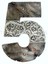 Western House Address Numbers Rustic Silver Floral Design Home Decor ...