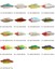 Rat-L-Trap Lipless Crankbait 1/2oz RT Any 169 Color Bill Lewis Rattle ...