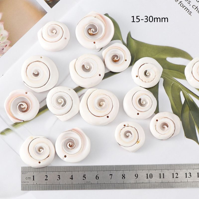 100 Pcs Natural Spiral Conch Shell with Hole for DIY Sea Shells Art ...