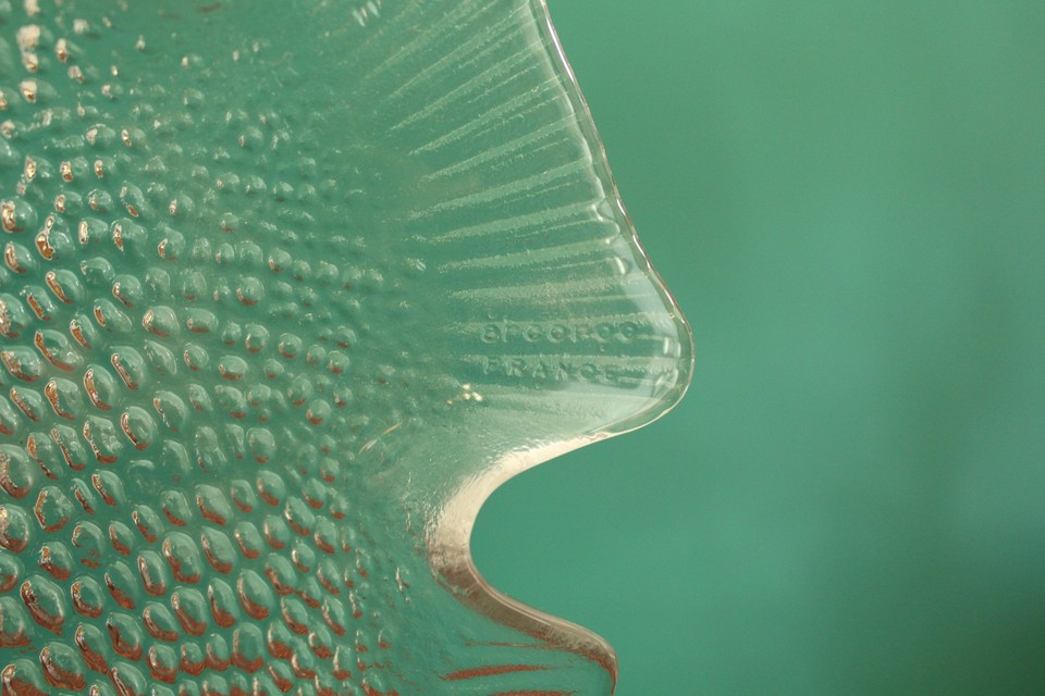 Vintage Arcoroc Poisson Fish Shaped Textured Clear Glass Serving Dinner ...