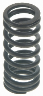 Sealed Power Valve spring For HONDA D15B7 SOHC 16 VALVE | eBay Australia