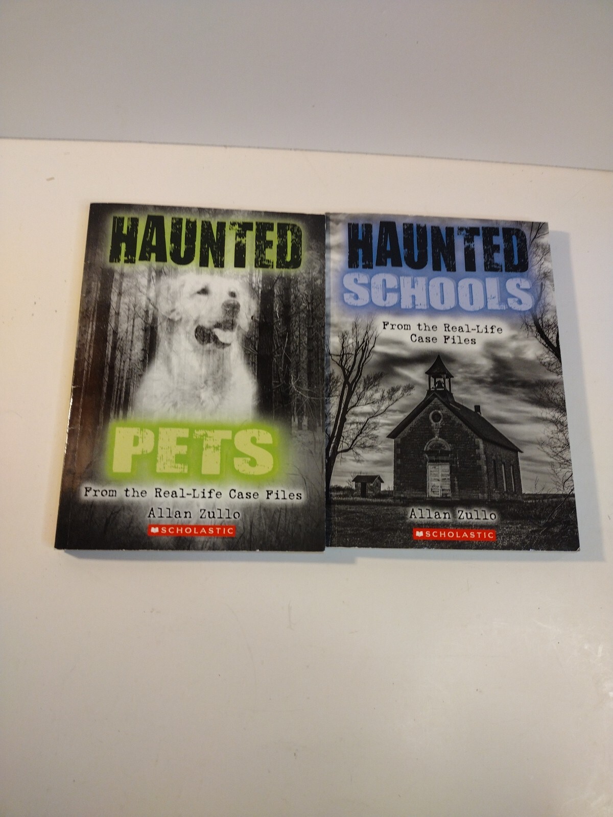 Haunted Book Set By Allan Zullo Haunted Pets Haunted Schools Preteen ...