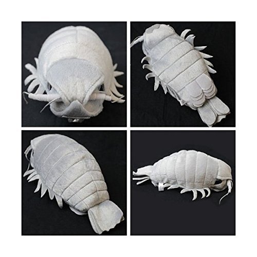 New Giant Isopod Realistic Soft Stuffed Plush Doll (7.9 inch) Insect ...