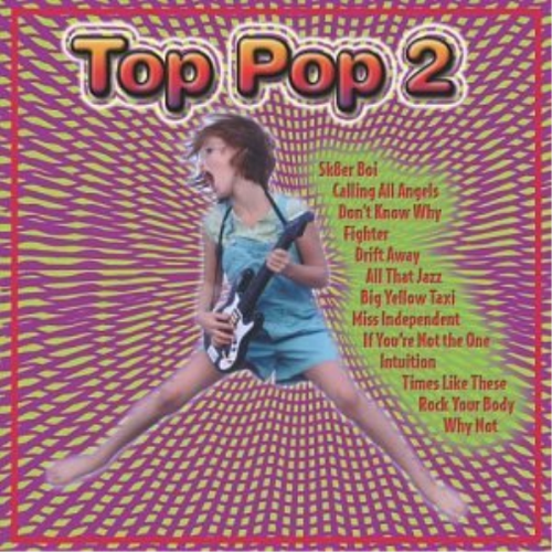 Various Artists Top Pop 2 (CD) 81227396329 | eBay