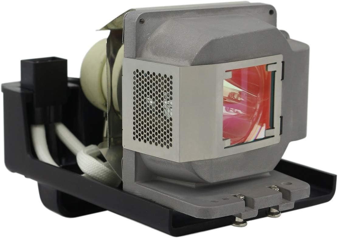 IET Genuine OEM Replacement Lamp for ViewSonic RLC-034 Projector ...