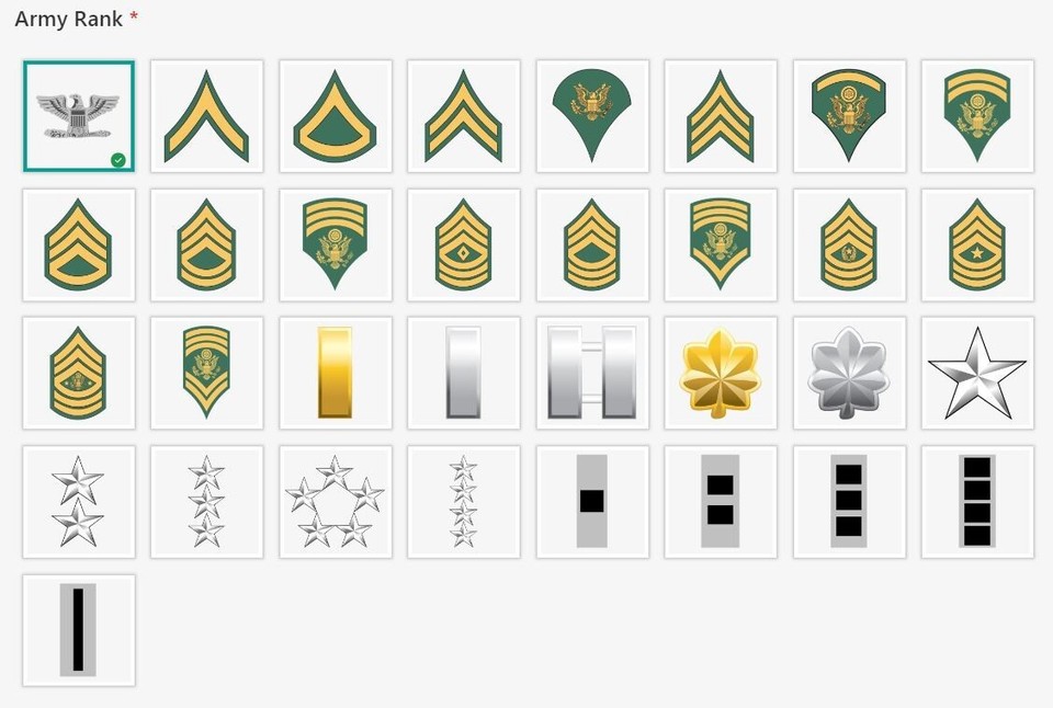 Custom us army rank embroidered hats, cutom your us army hat | eBay