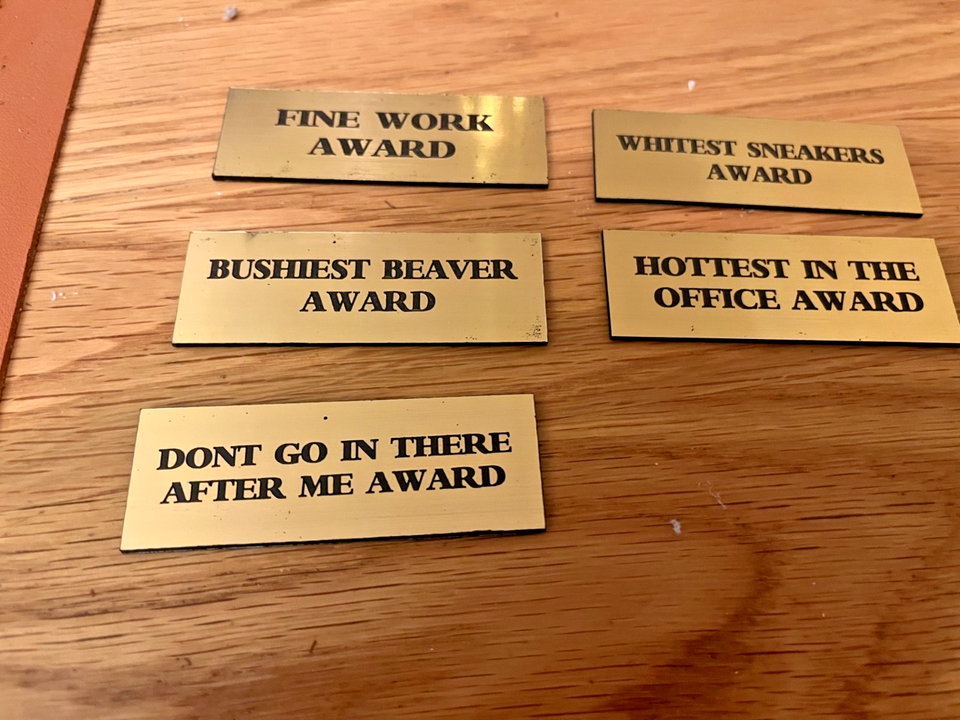 michael scott dundies / gold dundies/ bushiest beaver / the office ...