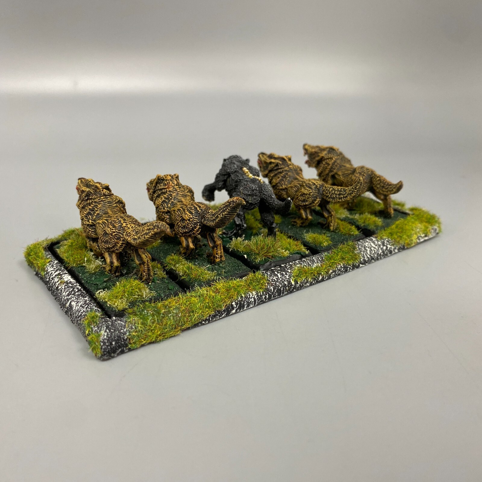 DIRE WOLVES DOOM WOLF VAMPIRE COUNTS WARHAMMER FANTASY THE OLD WORLD ...