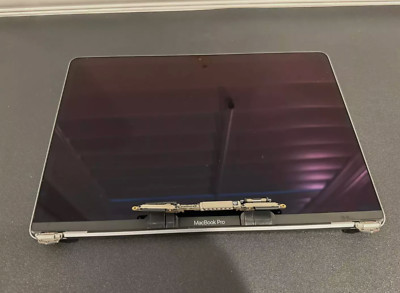 Original Apple MacBook Pro LCD A1989 A2159 A2251 Screen Display 2018 ...