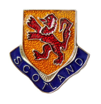 Scotland Red Lion Rampant Large Crest Pin Badge | eBay UK