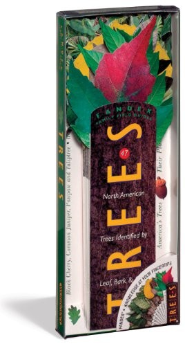 FANDEX FAMILY FIELD GUIDES: TREES By Steven Aronson **Mint Condition ...