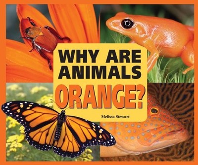 Why Are Animals Orange? (Rainbow of Animals) - Library Binding - GOOD ...