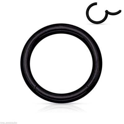 Segment Hinged Captive Lip Ring 14 Gauge 3/8" Titanium IP Black Body ...