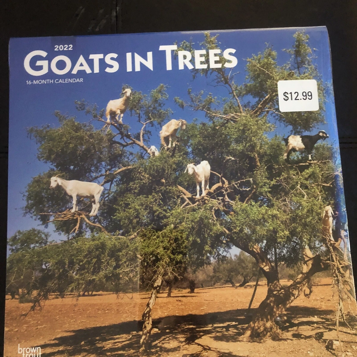 Goats In Trees Calendar 2022