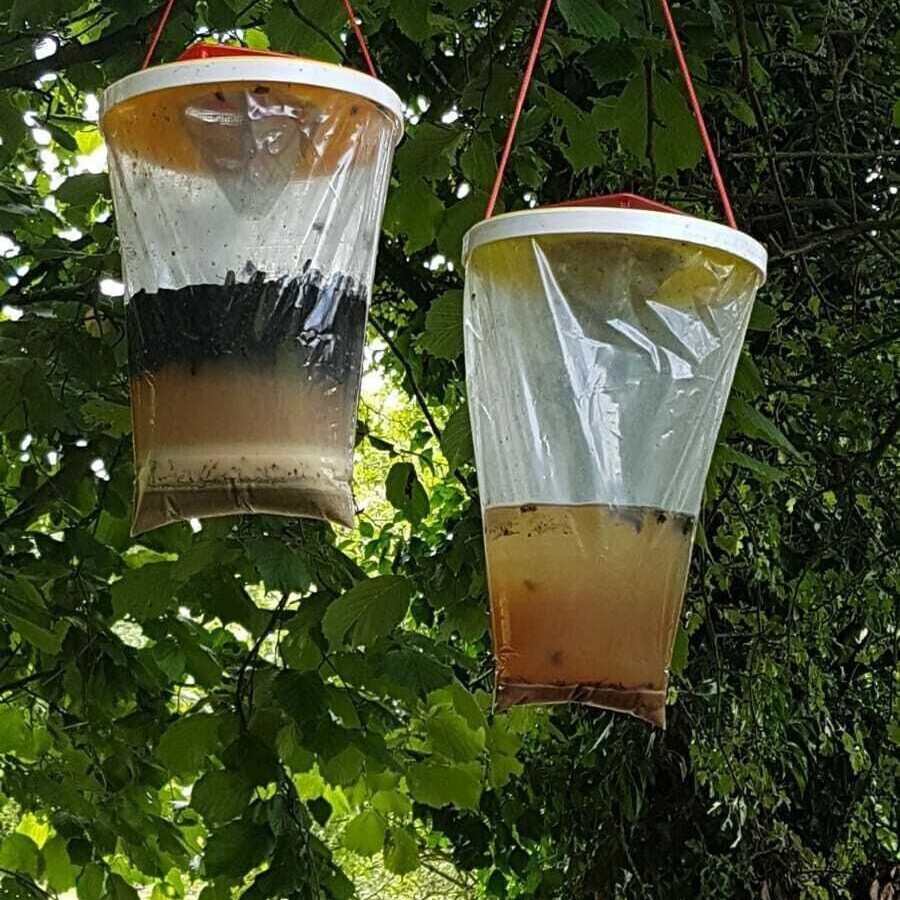2PCS Red Top Fly Trap Bag Catcher 20000 Flies Insects Pest Control ...