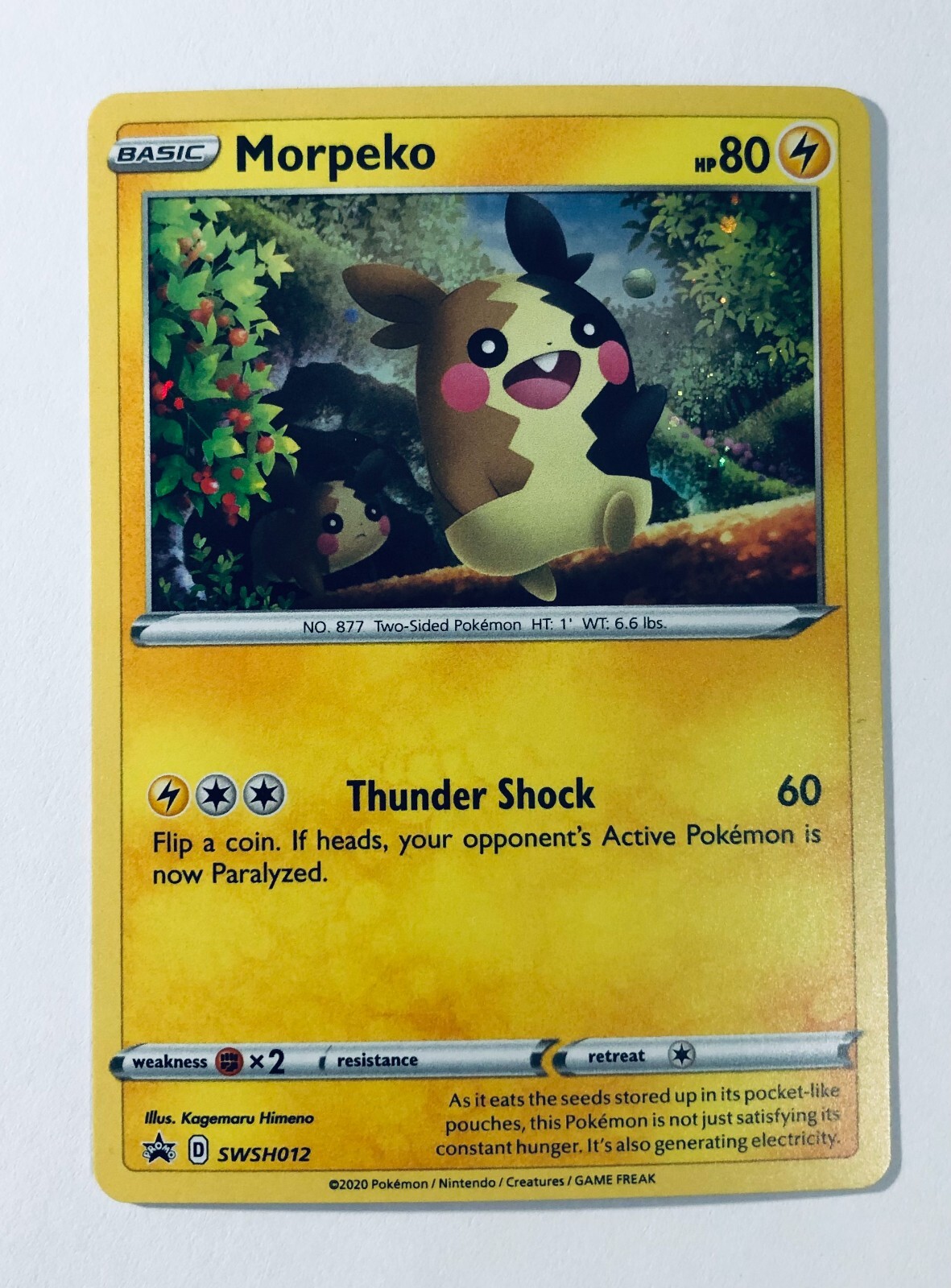 Morpeko Holo 2020 Pokémon Sword & Shield Black Star Promos #SWSH012 ...
