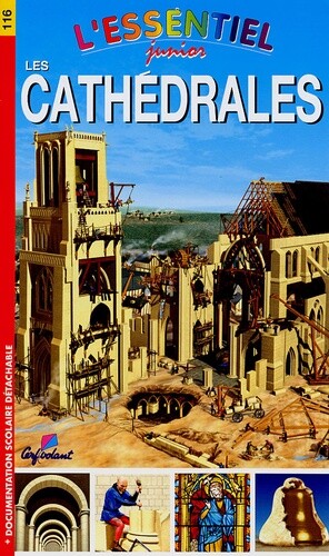 Les cathedrales de Daniel Boudineau Jacques Dayan et Christine Sagnier ...