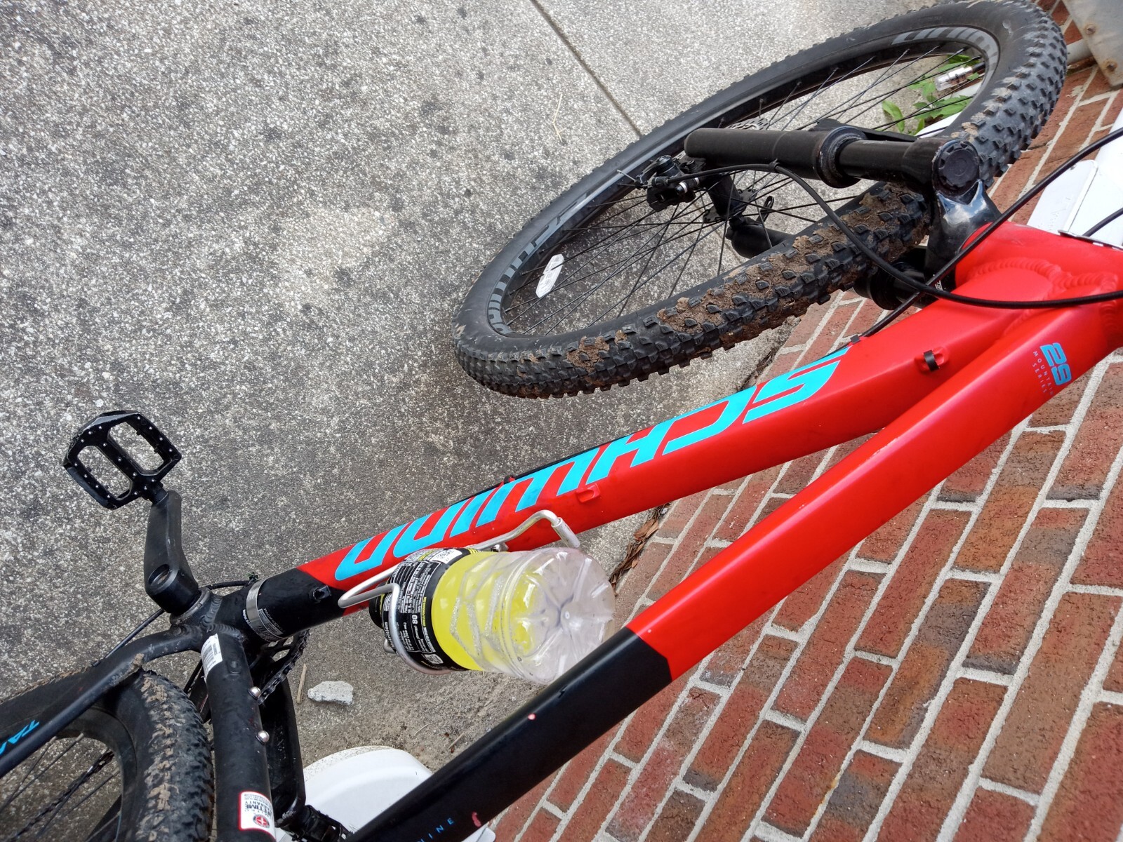 Schwinn Taff 29" 8-Speeds Mountain Bike - Black/red (S5732WMDS) | eBay