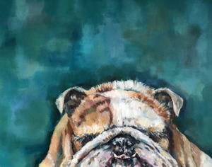 Cheeky Bulldog | eBay Stores