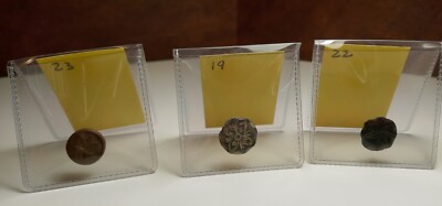 Buttons - Dug Colonial