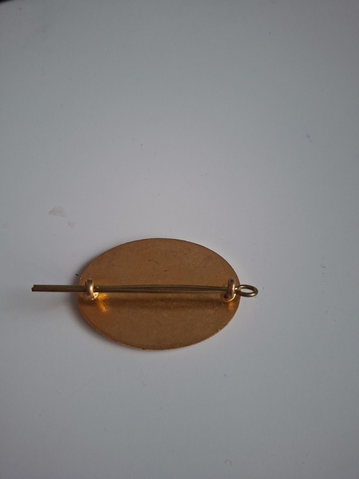 Grampian Reguonal Transport Bus Driver Conductor Cap Badge. Bus ...