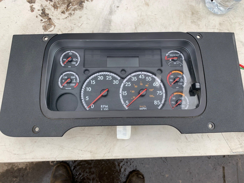 Freightliner Cascadia Dash Gauge Cluster | Tested Good Mileage MPN ...