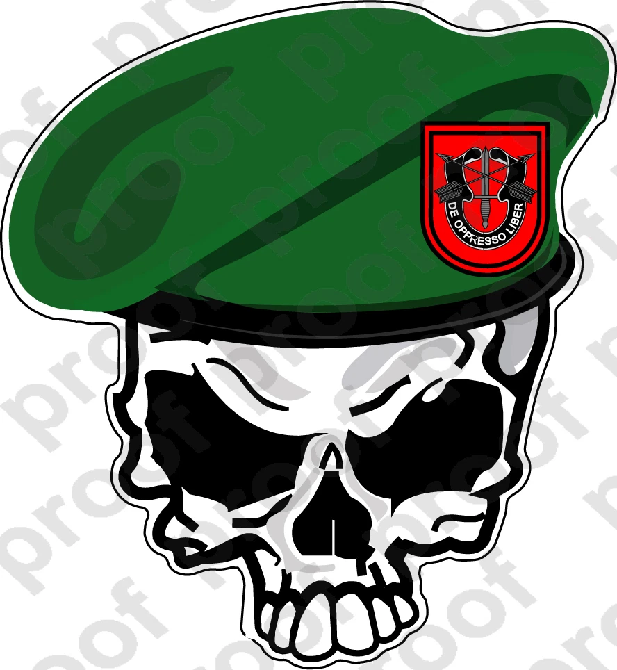 Special Forces Skull Logo